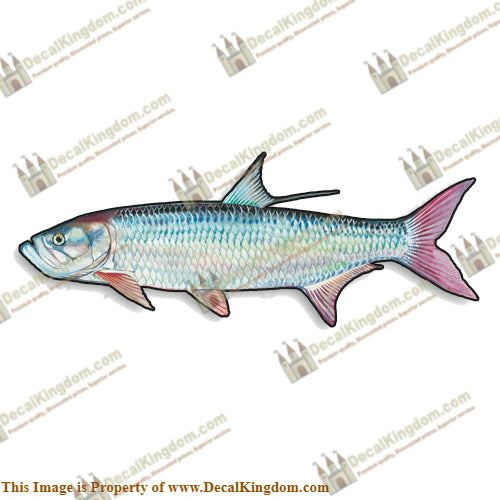Tarpon Decal - 9"